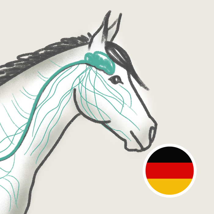 Basiswissen Nervensystem des Pferdes - nancy-heiber | ablefy