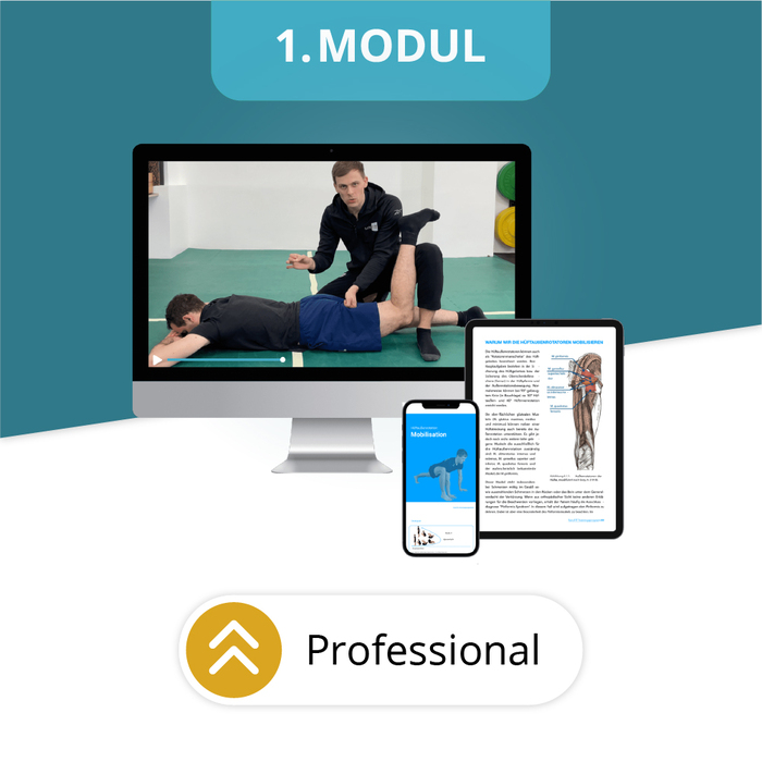 360° Mobility Programm Professional (1. Modul) - funcfit