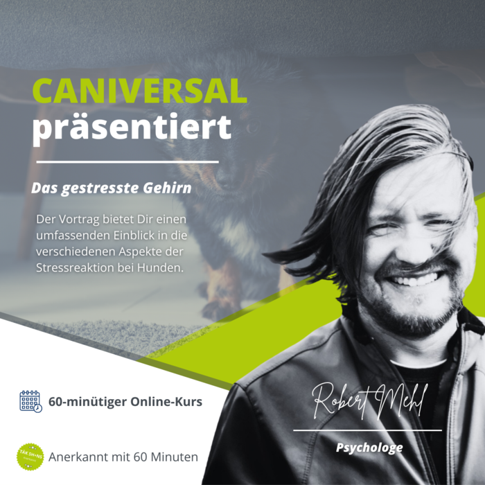 Robert Mehl - Das gestresste Gehirn - caniversal