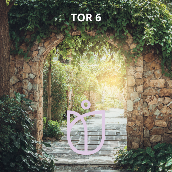 Meditationsprogramm: Dem Ruf des weisen Herzens folgen - durch 7 Tore in Deine Seelenkraft ...