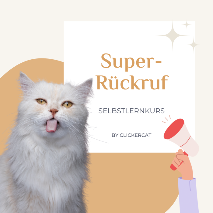 Clickstart - in 4 Wochen zum Clickerprofi