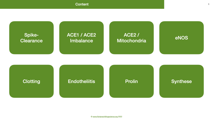 Workshop "Spike, Endotheliale Dysfunktion & Microclotting" - florian ...