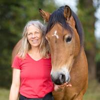 Steigerwald.T | ablefy