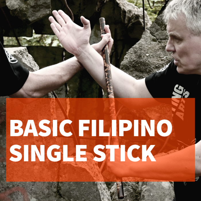 FMA365 - Filipino Stick Fighting Package