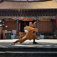 shaolin-academy-online