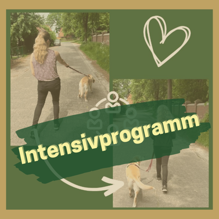 Intensivprogramm - alexandra-ackermann | ablefy