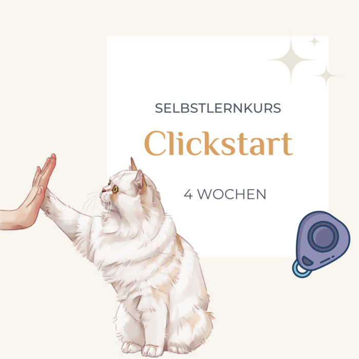 Clickstart - Selbstlernkurs - katzentraining