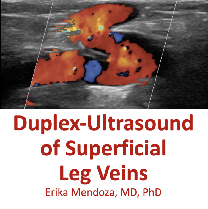 Masterclass Duplex Ultrasound of superficial leg veins - Erika-Mendoza | ablefy
