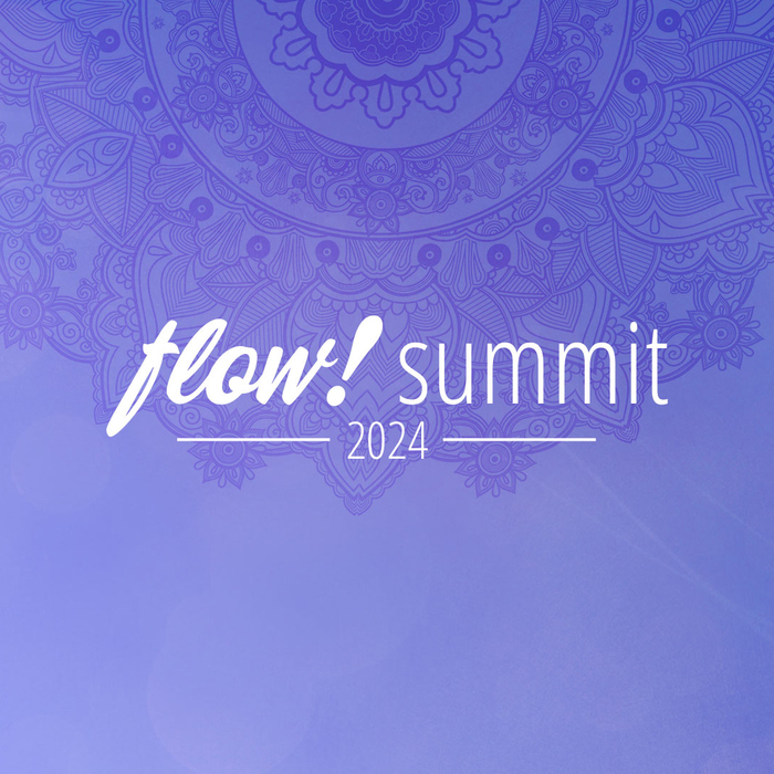 flow! summit 2024 - Cesko - younity-cesko