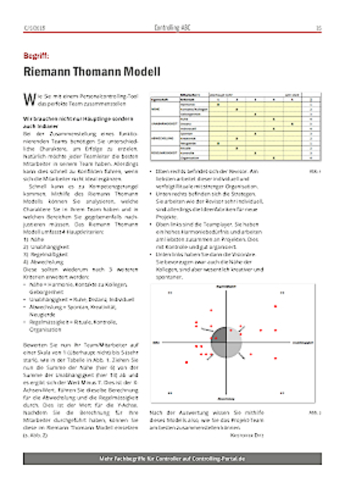 Controlling-Begriff: Riemann Thomann Modell - reimusnet