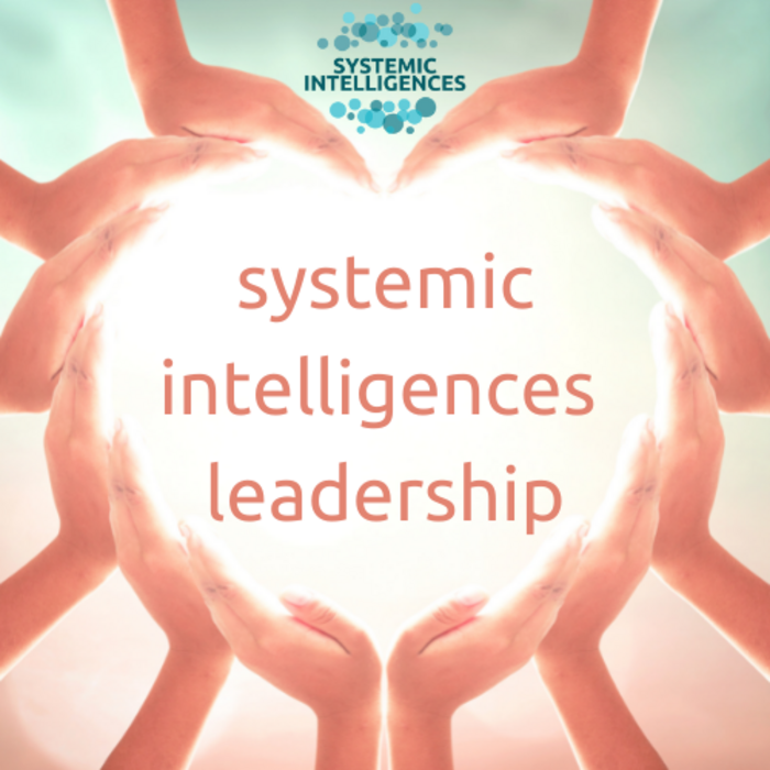 systemic intelligeces leadership - systemic-intelligences | elopage
