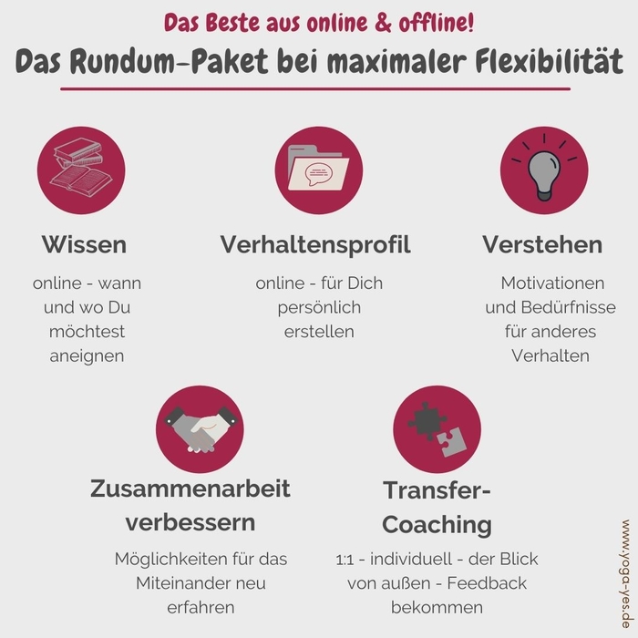 persolog-Persönlichkeits-Modell / Verhaltens-Profil, DISG | elopage