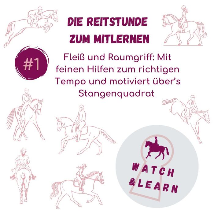 Watch & Learn. Die Reitstunde zum Mitlernen, Folge 1:
